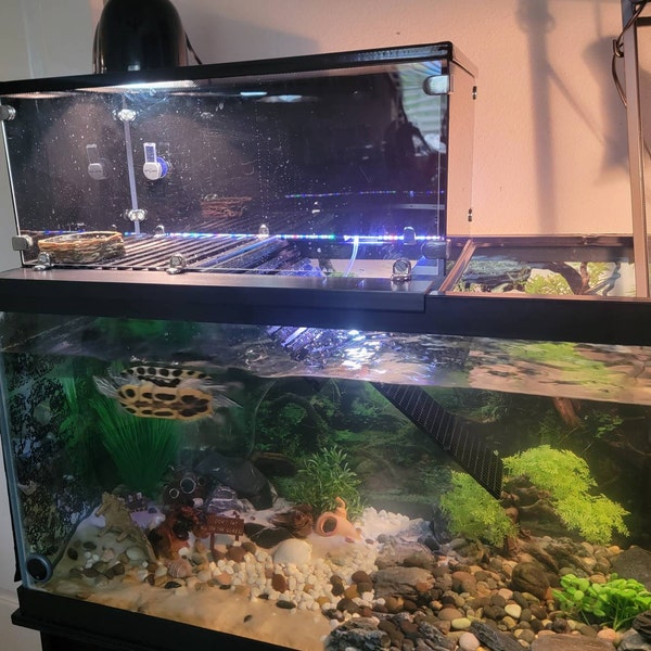 Aquarium Background Underwater Roots - Vinyl Graphic Adhesive AQ0015 - Etsy