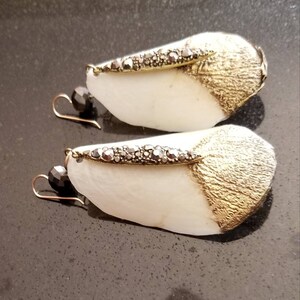 Pirarucu Arapaima Fish Scales 100% Natural Fish Scales 10 | Etsy