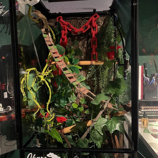 Custom Reptile Hide/snake Hide/ Gecko Hide/customizable - Etsy