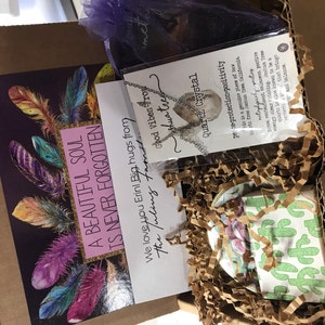 Apology Gift I Succ I'm Sorry Succulent Mini Gift Box Sunshine Gift ...