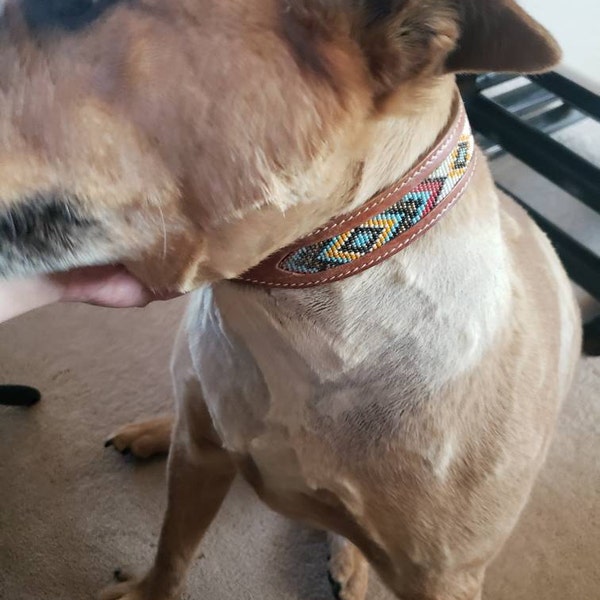 Leather Dog Collar With Red, Yellow, and Blue Beaded Design - Etsy
