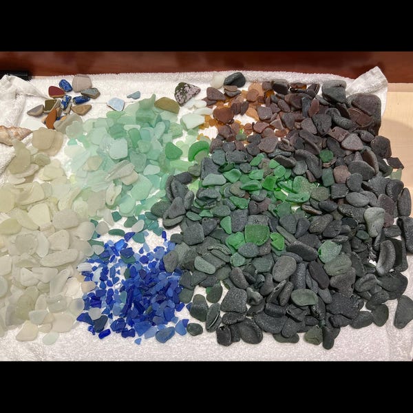 Shell Scoop, Rock Hunt Scoop, Shark Tooth Sifter, Sand Scoop, Rock ...