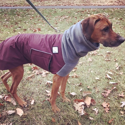 RHODESIAN RIDGEBACK Winter Dog Coat Winter Coat for Dogs - Etsy
