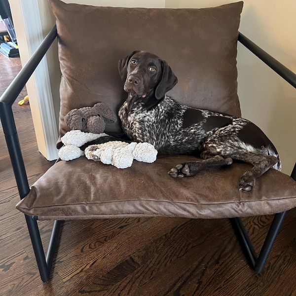 German Shorthaired Pointer Lovey | Crochet Pointer Snuggler | GSP Baby ...