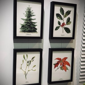 Christmas Holiday Botanical Prints Set of 4 - Holly, Mistletoe ...