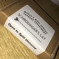 Schrodinger's Cat in a Box enamel Pin Physics College - Etsy Canada