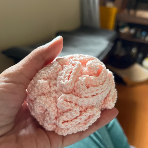 Anatomical Brain Crochet Pattern! PATTERN ONLY Instant DOWNLOAD ...