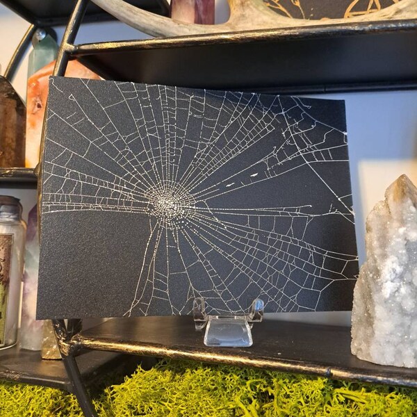 Unique Medium Real Preserved Spider Web- Cruelty Free - Etsy