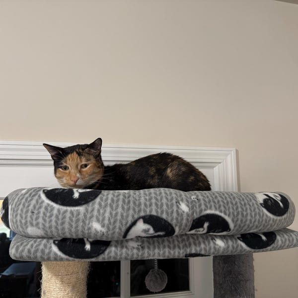 Rectangle Cat Window Perch Cover, Cat Window Hammock Mat, Replacement ...
