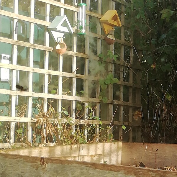 Solitary Bee Hive With Hinged Roof, Perspex Viewing Window and ...