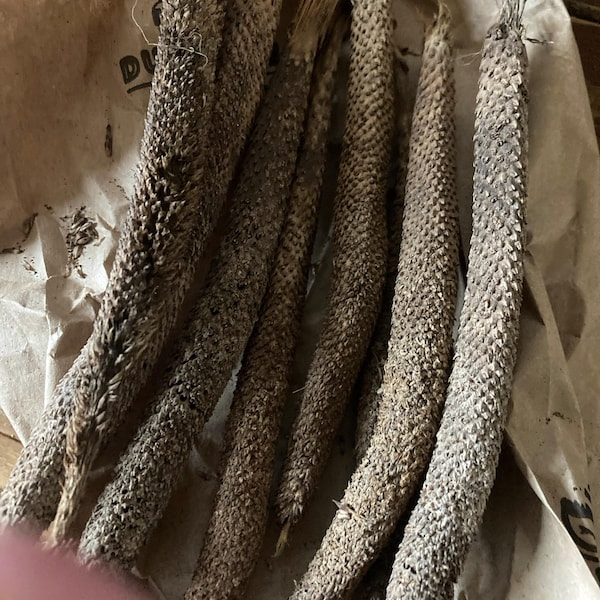 Natural Chewing Sponge,taakotsa,sawie From Ghana (100g) - Etsy