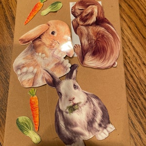 Realistic Hamster Illustration Stickers Cute Waterproof - Etsy