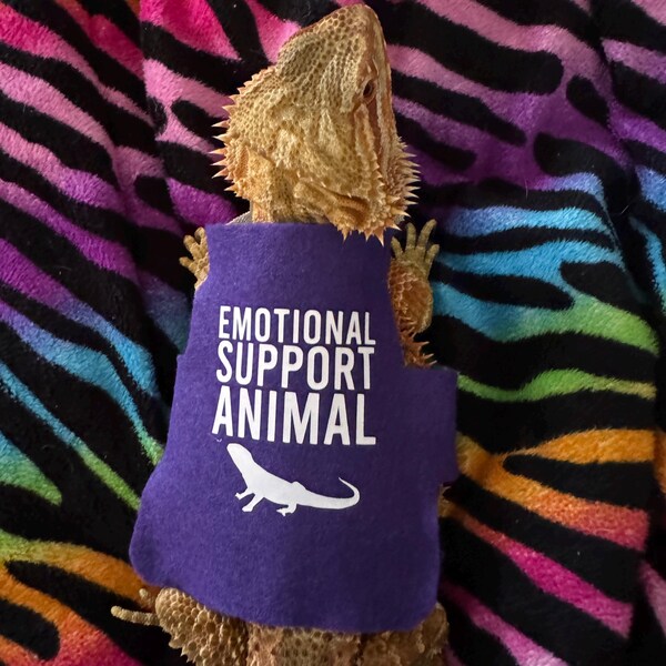 Rat Sweater for Rat Crochet Sweater for Small Pet Sweater for Fancy Rat ...