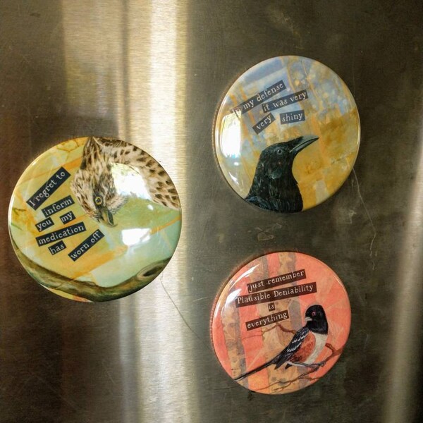 Raven Has No Defense I Funny Drunk Bird Magnet I Rude Bird Magnet L ...