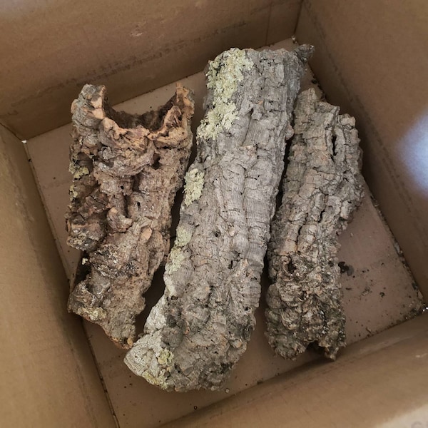 Bulk Small Virgin Cork Bark Tubes - 1lb - Etsy