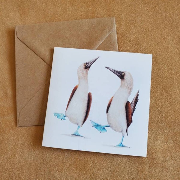 Funny Birthday Animal Cards, Set of 6, Greeting Cards Handmade, Card ...