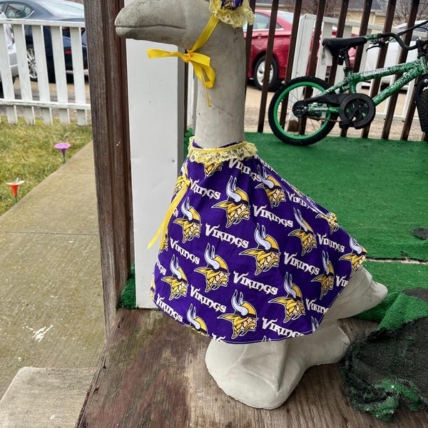 Nfl/detroit Lions Goose Dress/football Goose Clothes/concrete Goose ...