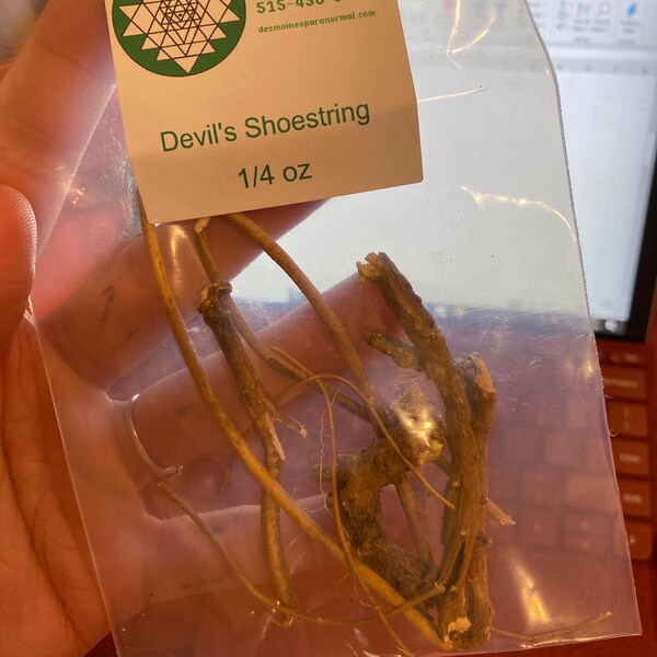 Devils Shoestring,is Used for Protection, to trip up the Devil Making ...