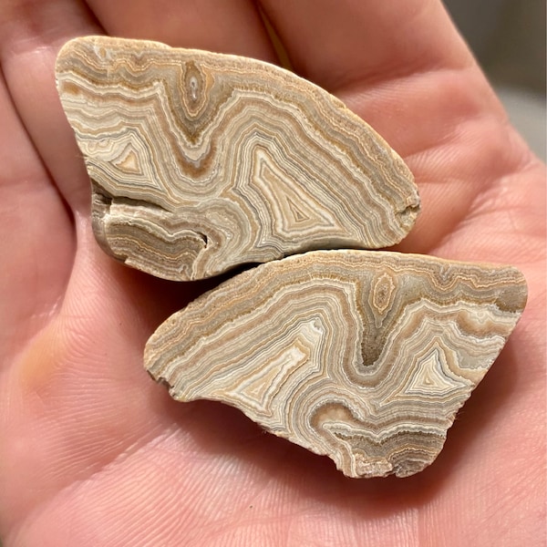 Laguna Crazy Lace Agate (tumbled Shapes) - Etsy