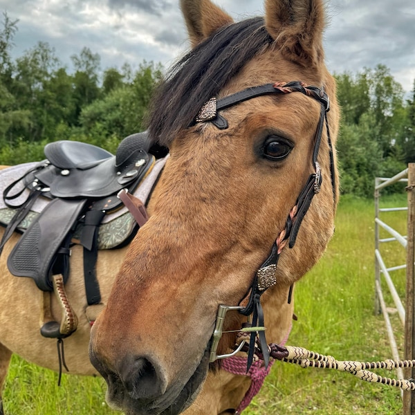 Draft Black and Rose Gold One Ear Headstall - Etsy