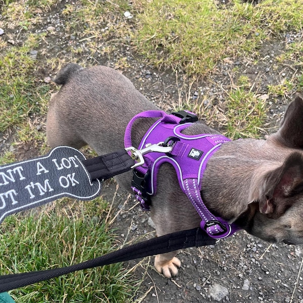 Dog Lead Sleeve Wrap Warning Lead Wrap, Space Needed, Nervous Dog ...