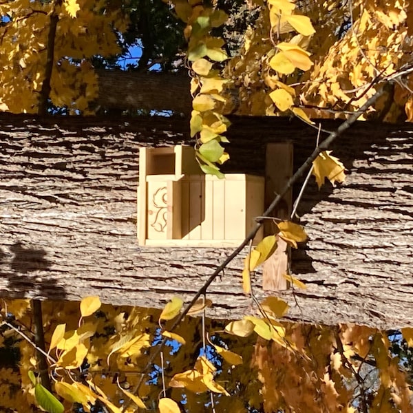 Durable Gray Squirrel Nesting Box – Wildlife Rehab Approved-predator ...