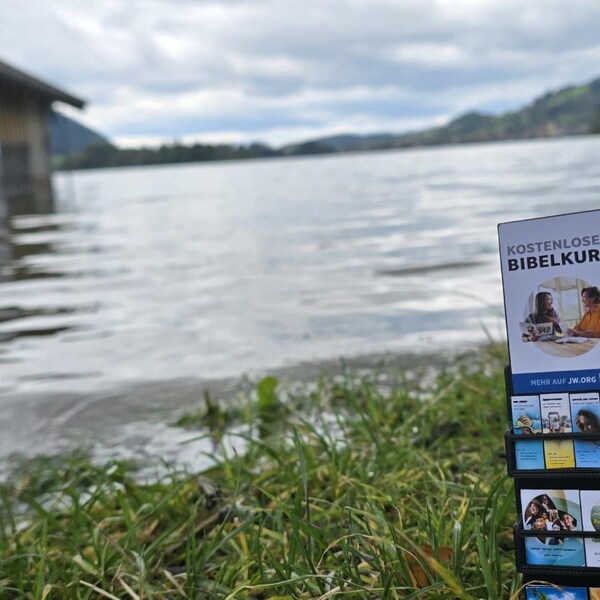 JW Trolley Literature Cart Model - Etsy