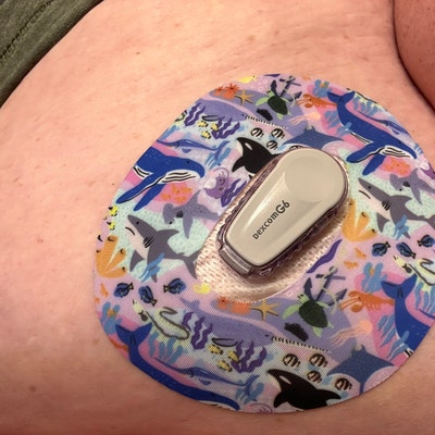 Dexcom G6 Transmitter Stickers 10 Count, Fun CGM Stickers to ...