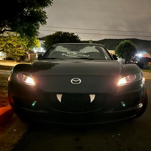 Universal Car Vampire Teeth / Bumper Fangs / Halloween Car - Etsy