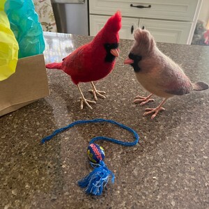 The Felt Bird Cockatiel. Handmade Felted Bird. the Most - Etsy