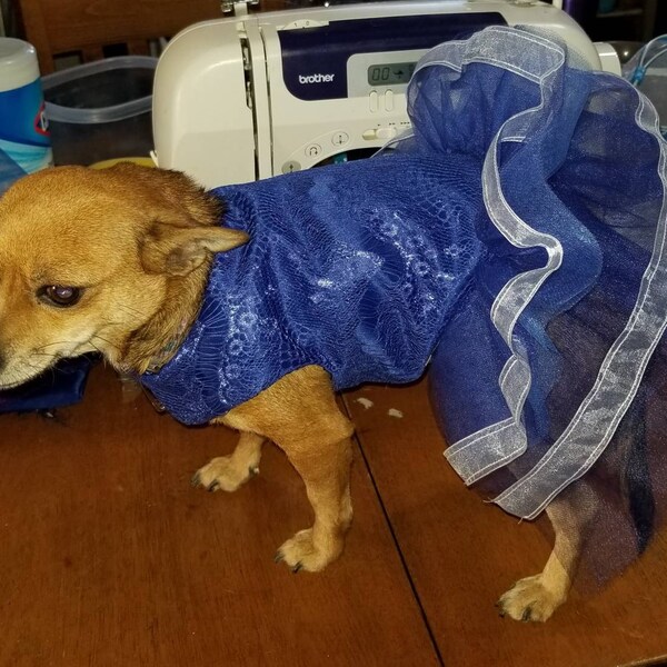 Dog Hat PDF Sewing Pattern Small Pet Hat Pet Clothes Pattern for Dogs ...