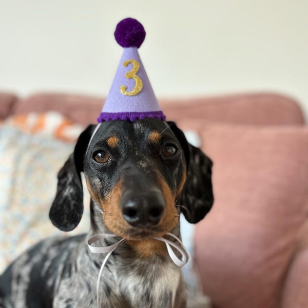 Cherry Pet ID Tag | Cherry Tag for Dogs | Summer Berries Cat ID Tags ...