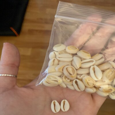 50 Small Cowrie Shell, Natural Sea Shell Money Shell Bead, Cut Back No ...