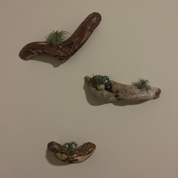 Surfite Surf Stone Freeform Pendant With a Minimalist Leather Cord ...