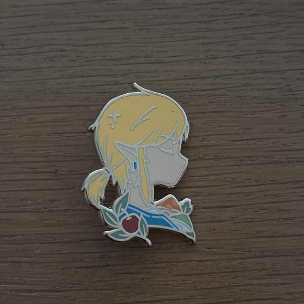 Botw Link & Zelda Hard Enamel Pin - Loz Pins - Pin Collection - Etsy