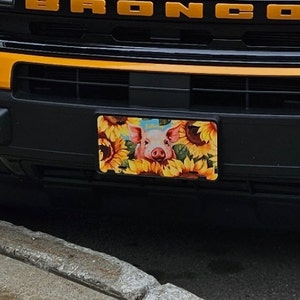 Custom License Plate Front Car Tag, Aluminum or Plastic Personalized ...