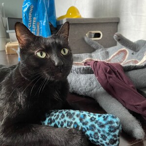 Siamese Catnip Toy, Tuxedo Cat Catnip Toy, Panther Catnip, Butterscotch Catnip Toy, Jungle Cats ...