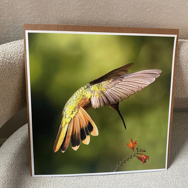 Hummingbird Art Print, Wildlife Photography, Fine Art Print, Nature ...
