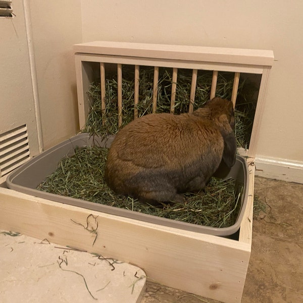 Medium - Hop Box: Rabbit Bunny Hay Feeder and Litter Pan Combo - Etsy
