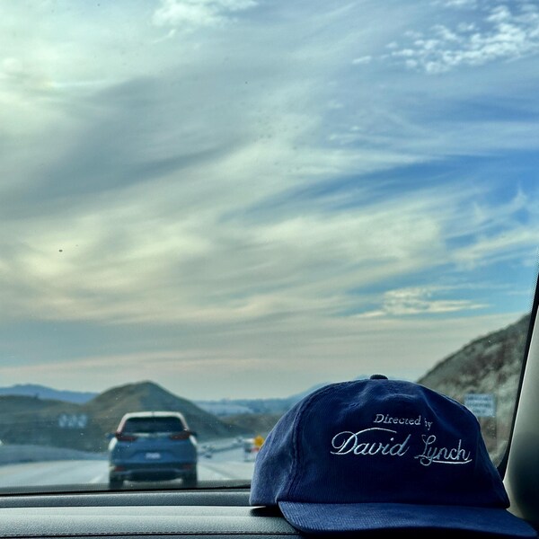 David Lynch Director Cap - Etsy
