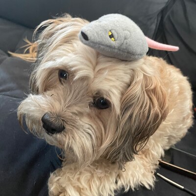 Jerma Rat Plushie Mini Rat - Etsy