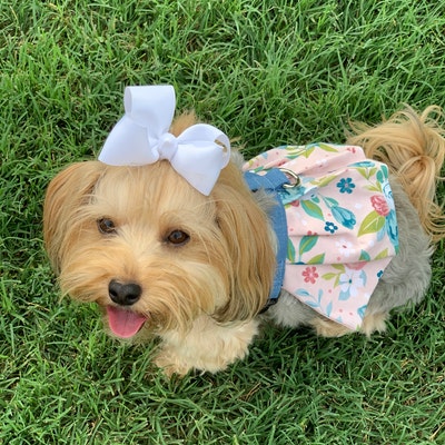 Interchangeable Dog Harness Dress // YOU PICK Harness and - Etsy