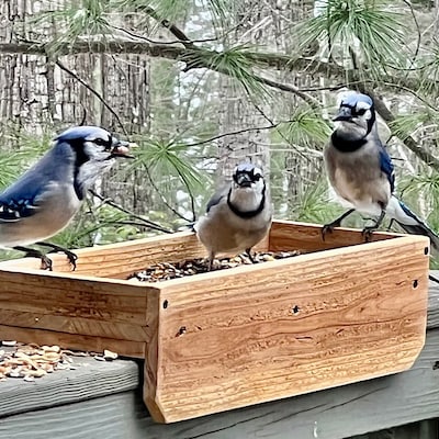 Chickadee Winter Roosting Box. - Etsy
