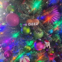 Deez Nuts Ornament - Etsy