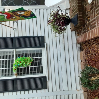 D. Stevens Raven Ribbon Gingham Check Ribbons, Fall Crow Ribbon, Crow ...