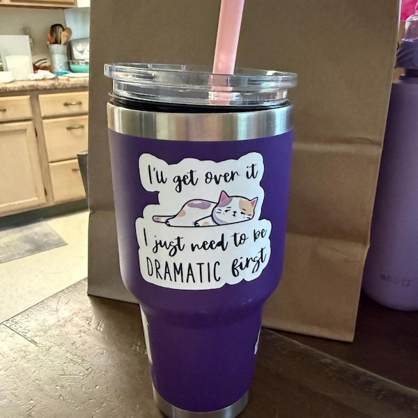 Funny Mems Sticker "my Last Nerve Sticker" Vinyl Waterproof Sticker ...