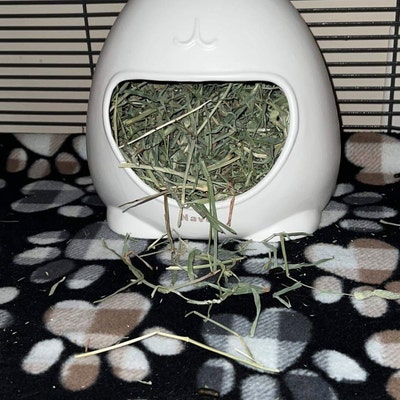 Ceramic Cooling Chinchilla Hideout Dust Bath House Hay Feeder Rabbit - Etsy