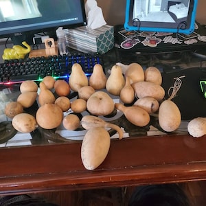 15 Quality SMALL Egg Gourds Dried & Cleaned | Etsy