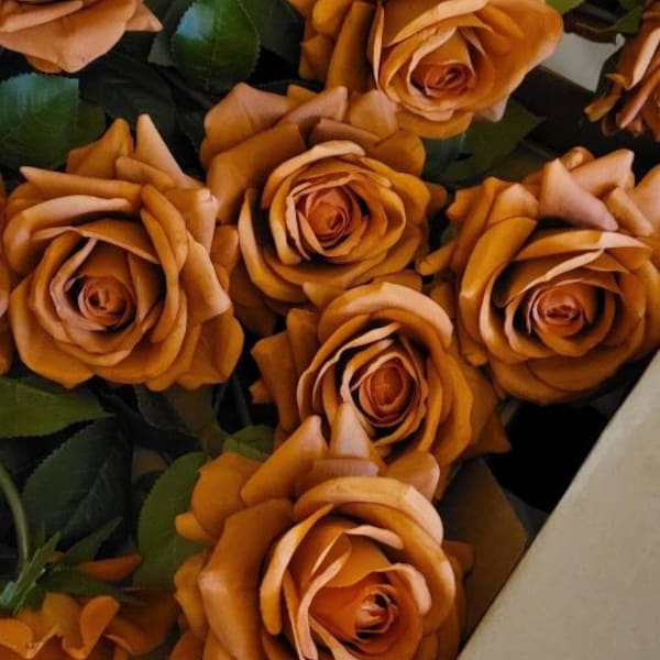 6 Long Stems Rust Orange Real Touch Garden Roses Large Blooms - Etsy