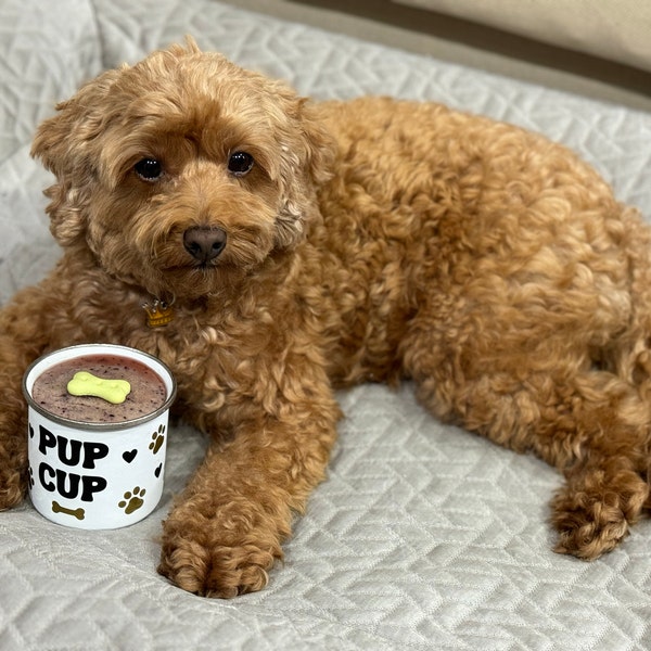 Pet Care Binder Printable Dog Organizer Pet Health Record Puppy ...